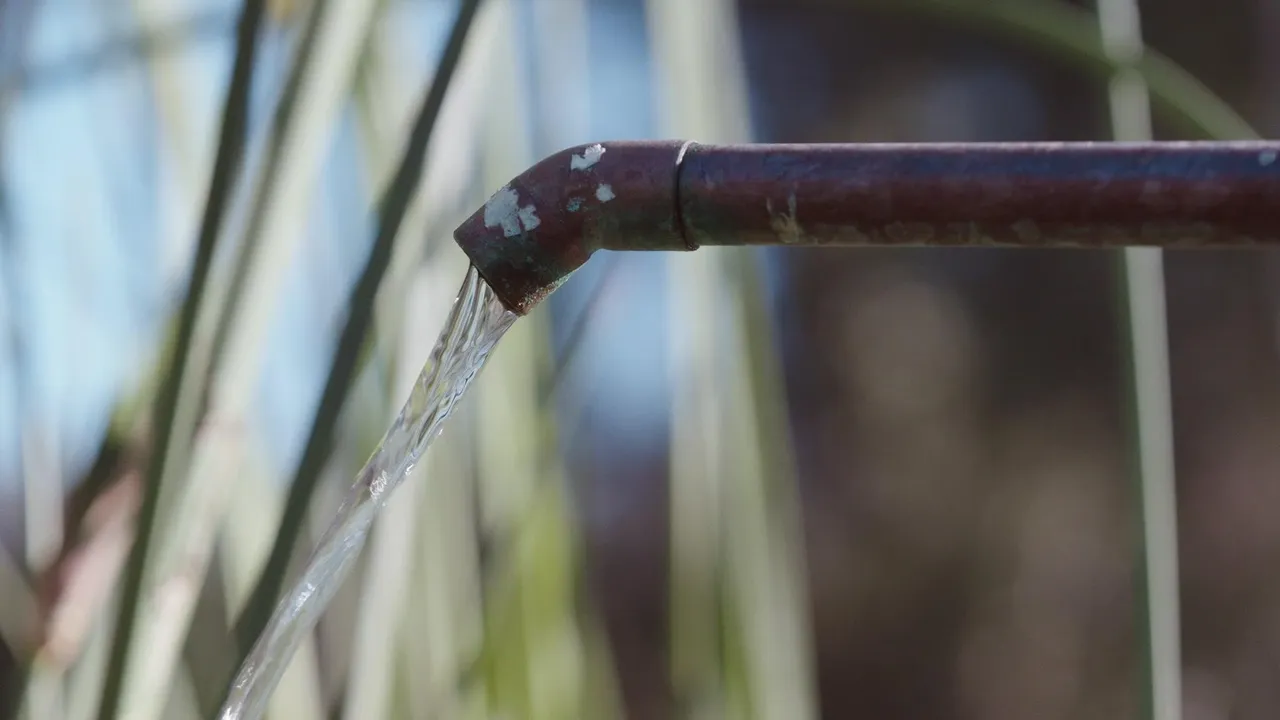Lauren Bon Restores Urban Land with LA River Water | Cascade PBS