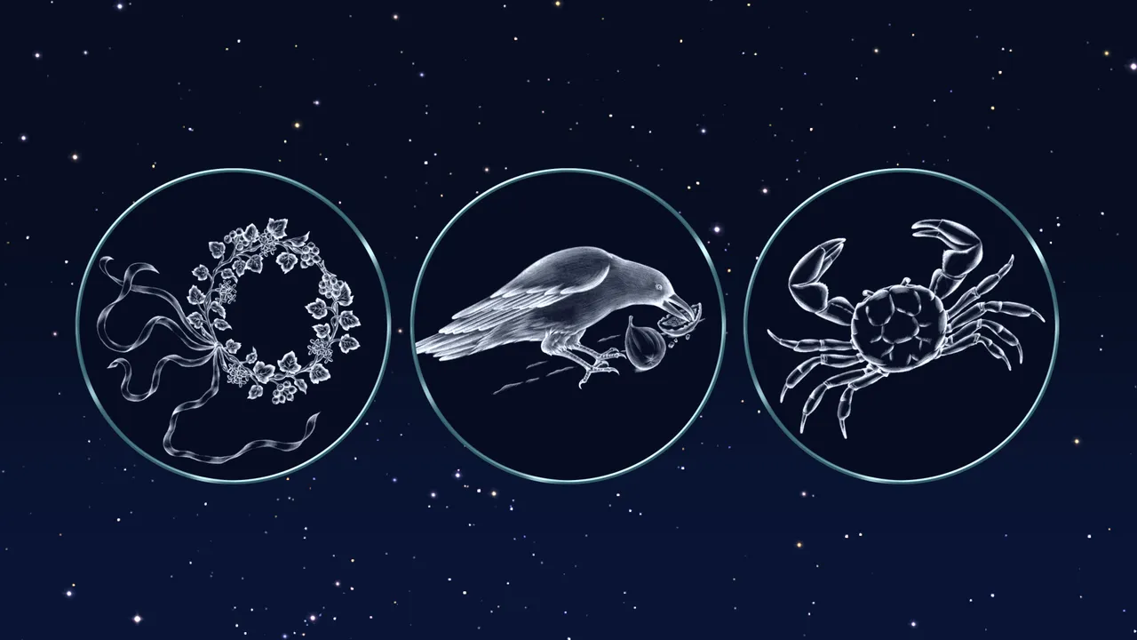 Find the Crown, Crow and Crab | February 23 - March 1 | Cascade PBS