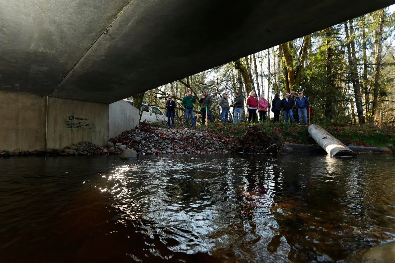 Will flood protections set back salmon restoration in the Chehalis ...