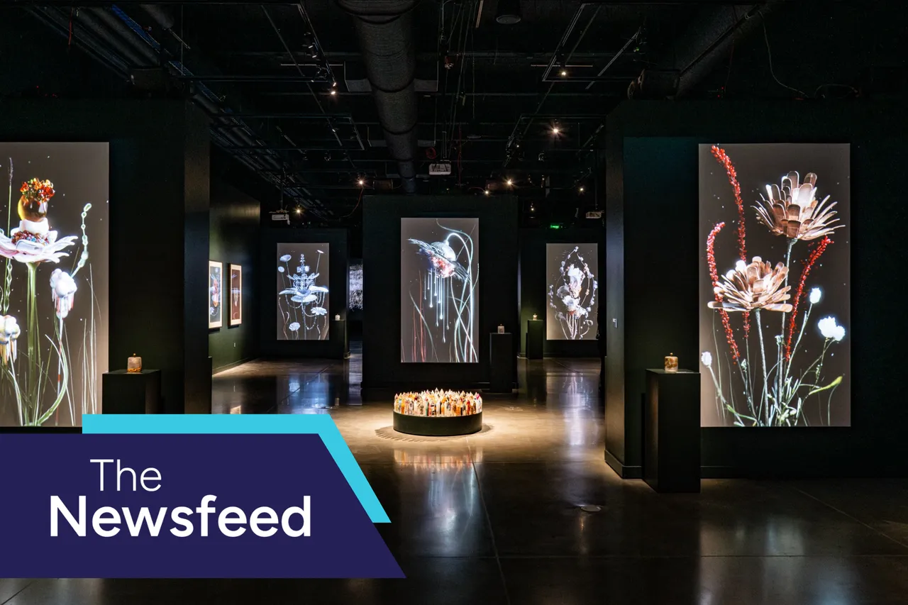 The Newsfeed: Immersive sights and scents in a Seattle art show ...