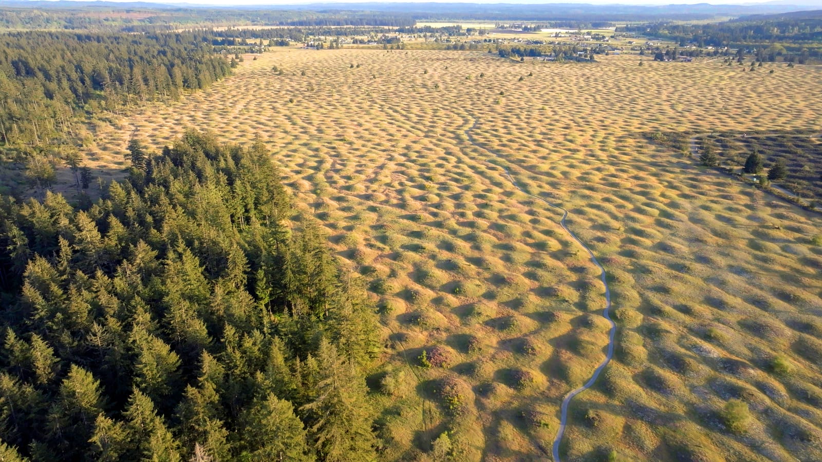 Mossback’s Northwest: The mystery of Washington's Mima Mounds | Cascade PBS