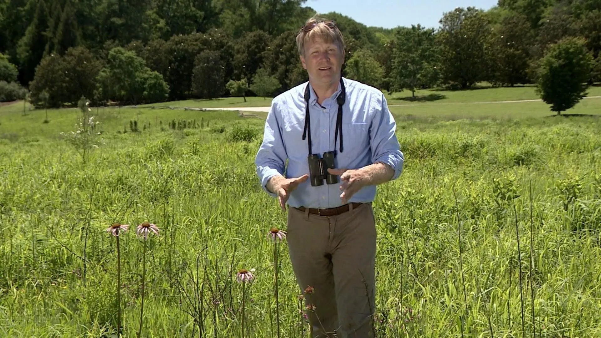 Gardening for Life – Transforming Your Landscape for Life | Cascade PBS