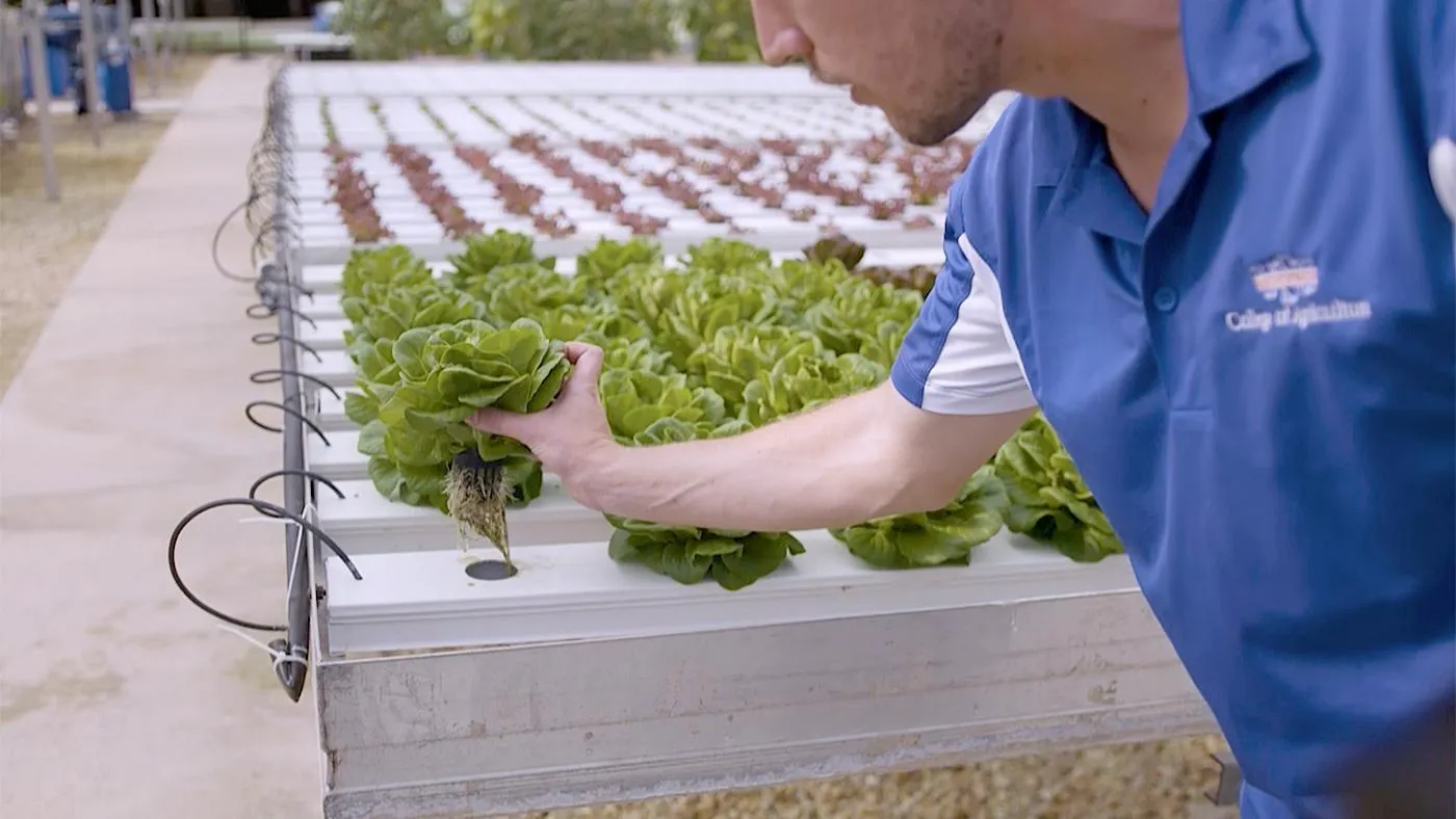 Aquaponics | Cascade PBS