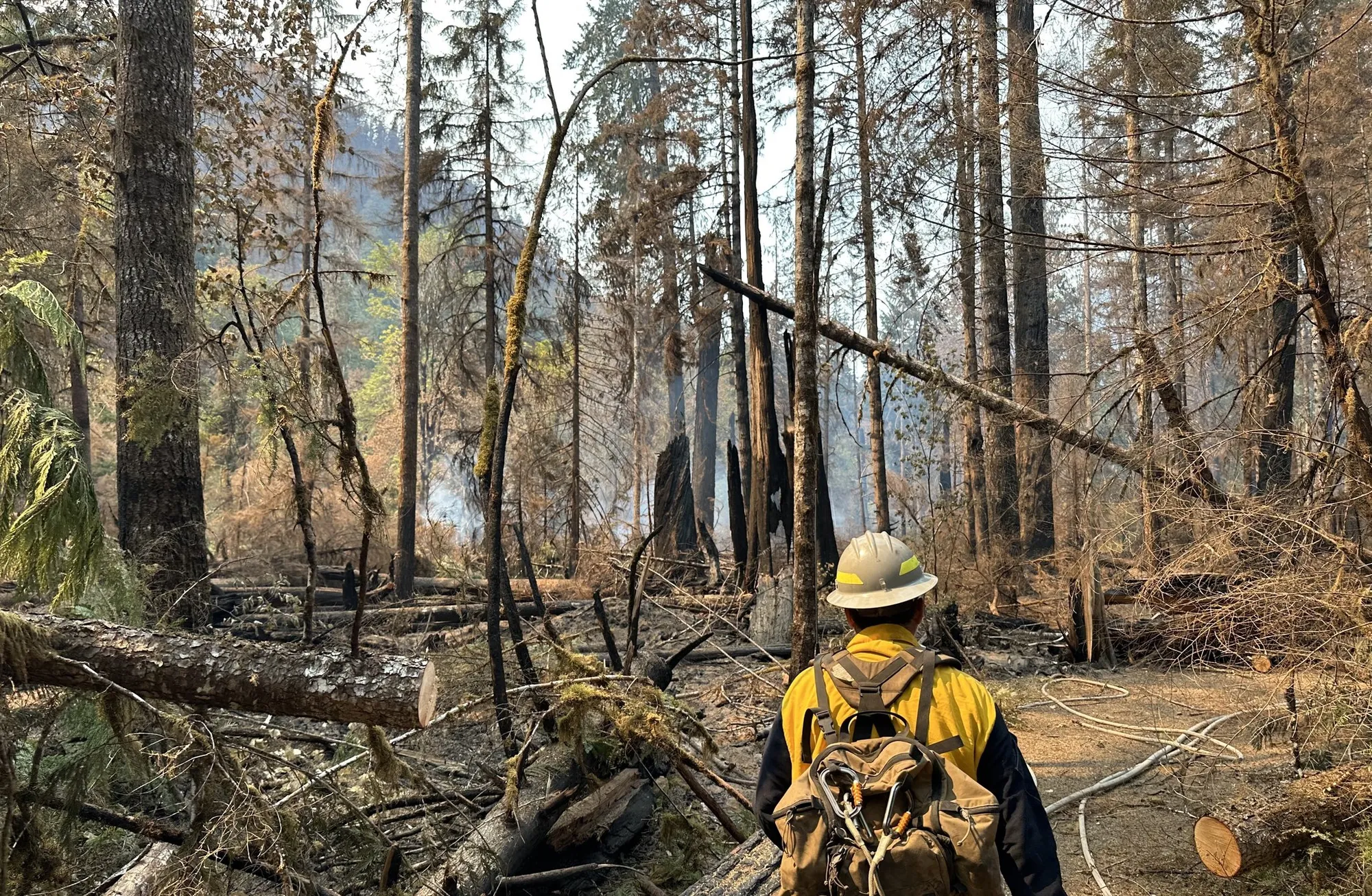 Firefighters suspect management complicity in Bear Gulch ICE raid | Cascade PBS