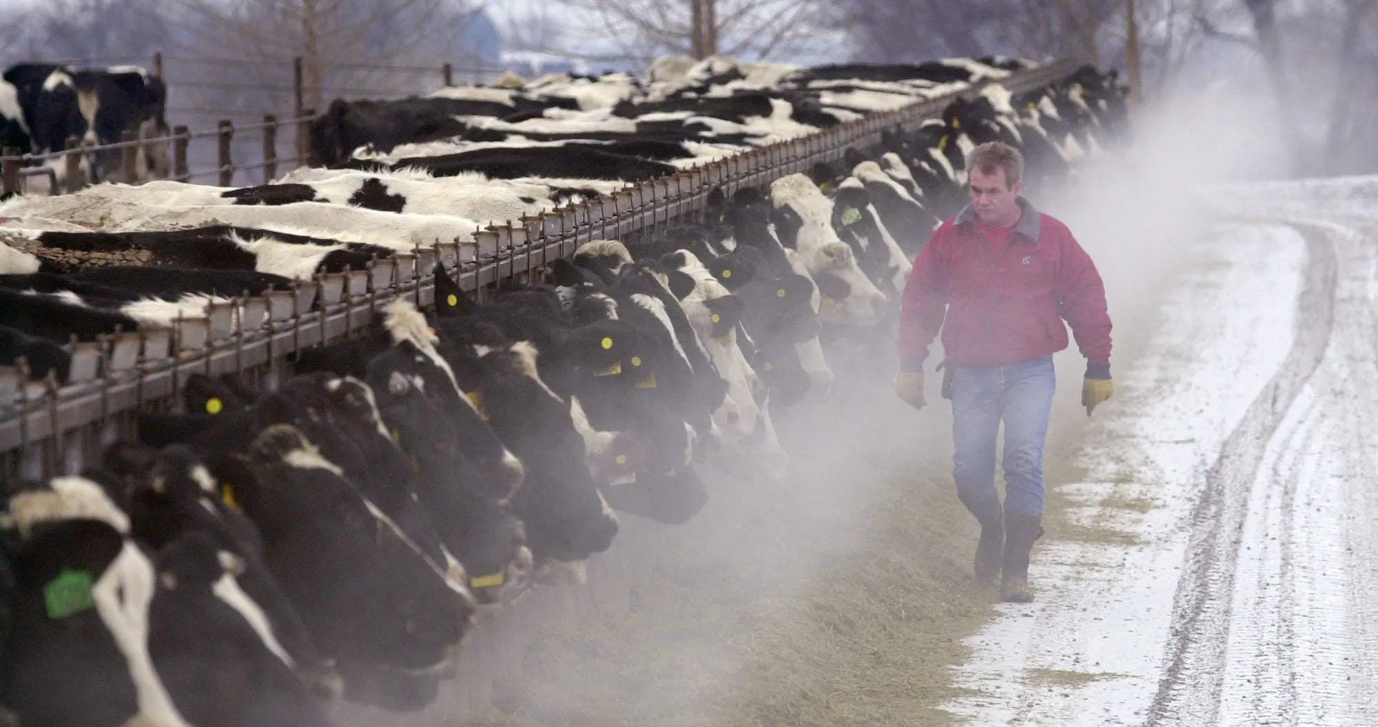 What happened when a mega-farm promised to be eco-friendly | Cascade PBS