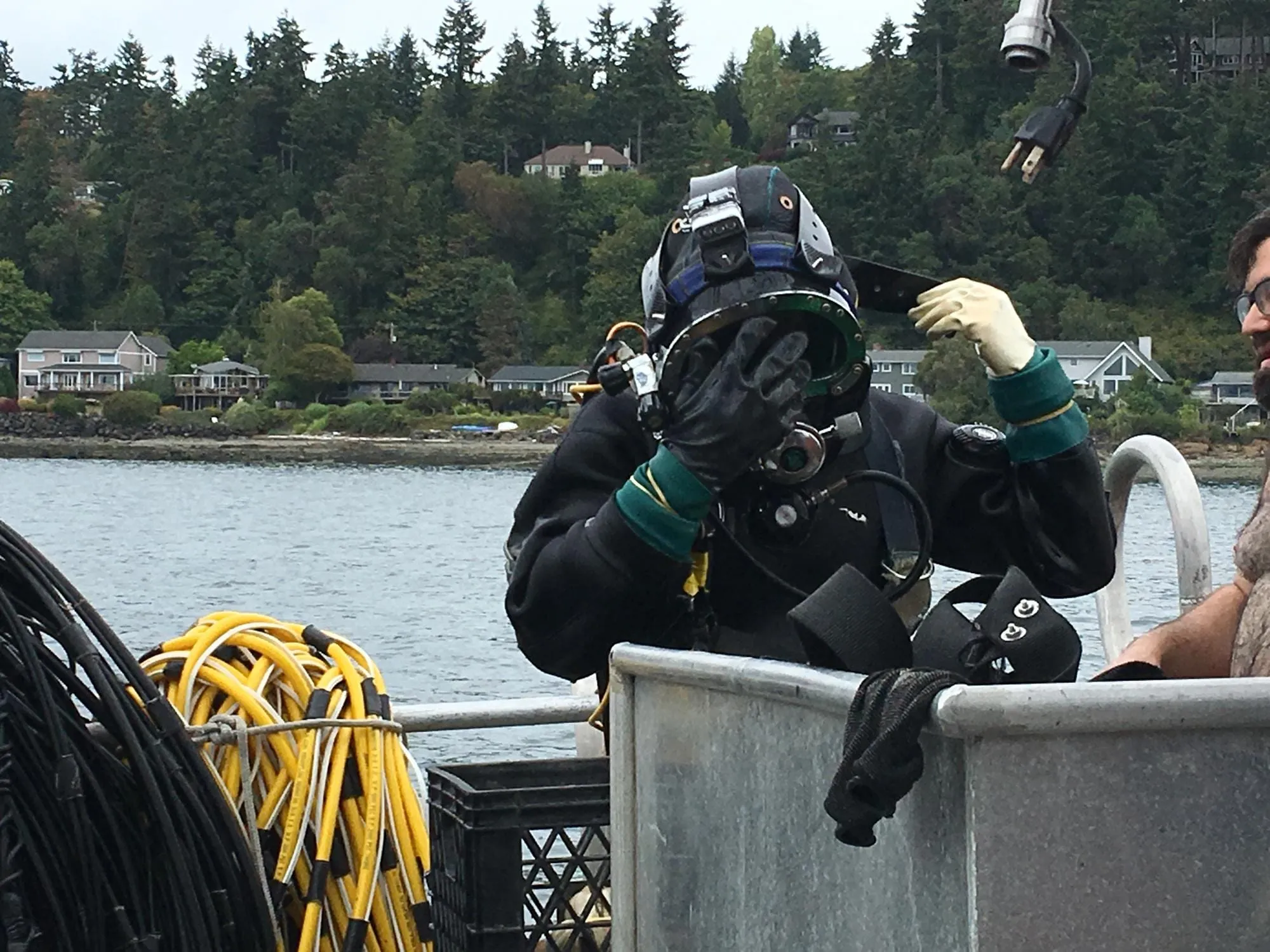 Human skull found by geoduck diver near Bainbridge Island | Cascade PBS