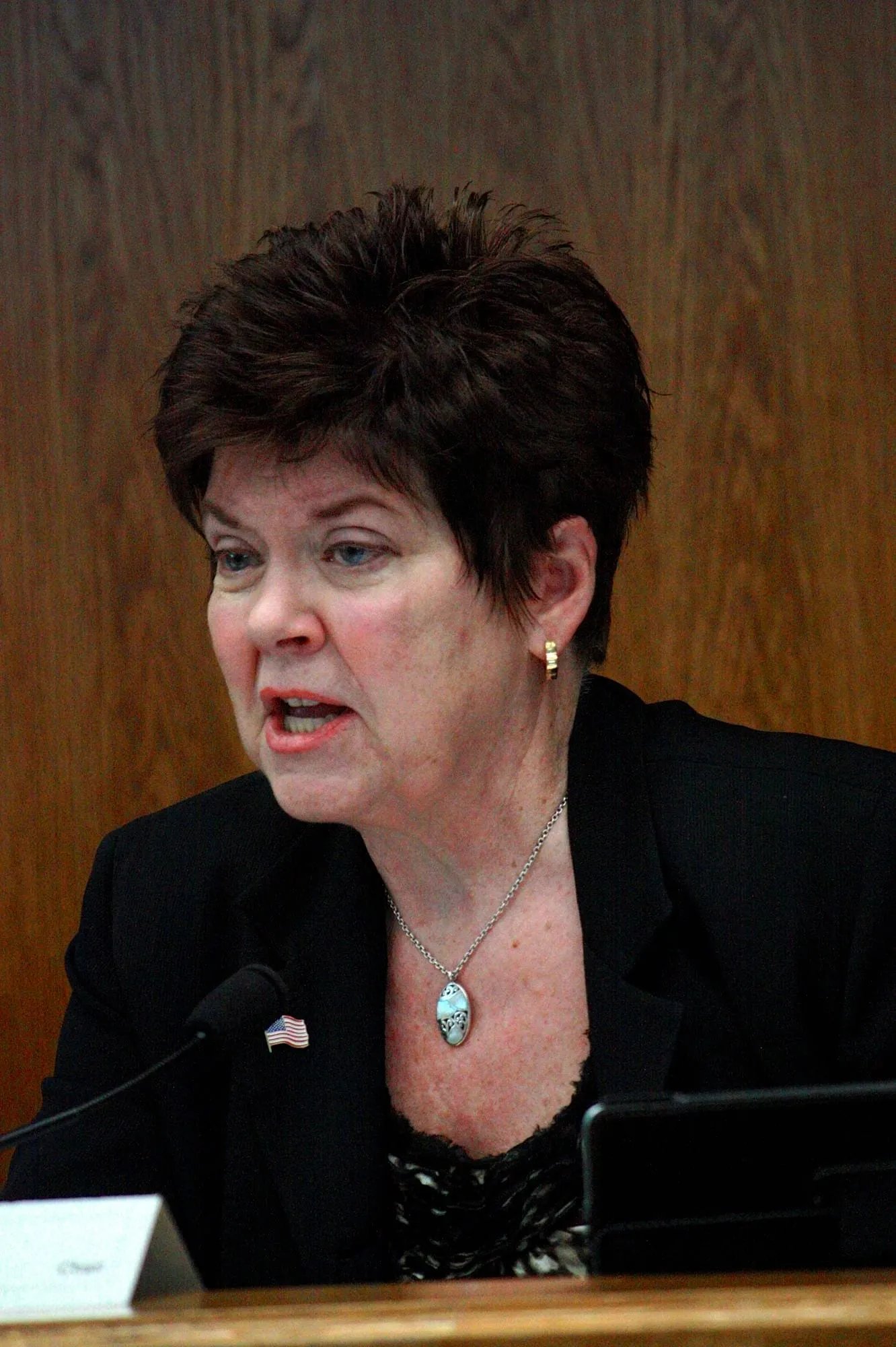 Pam Roach says she has highly placed enemies | Cascade PBS