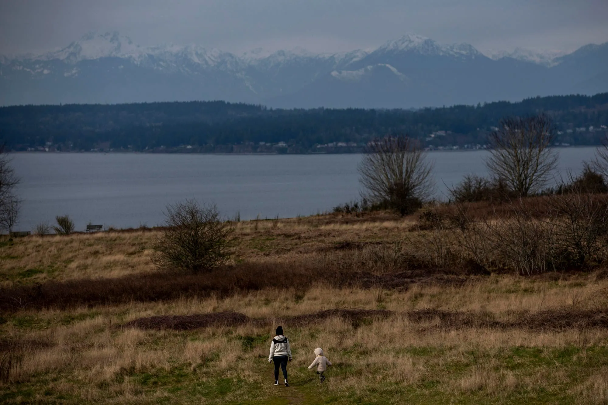 Fixing septic systems is key to protecting Puget Sound shellfish ...