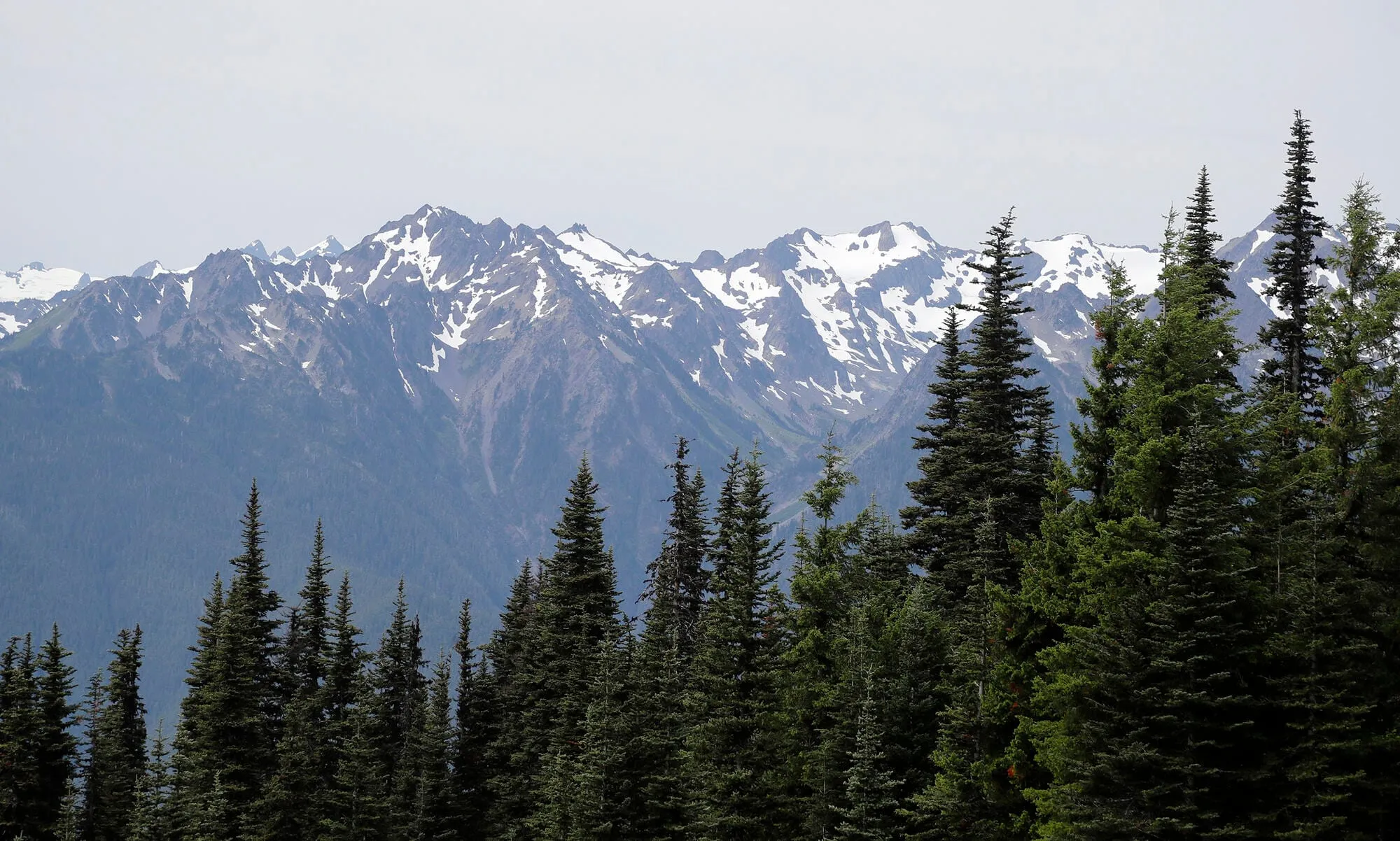 What’s in a name? WA wants to officially be ‘The Evergreen State ...