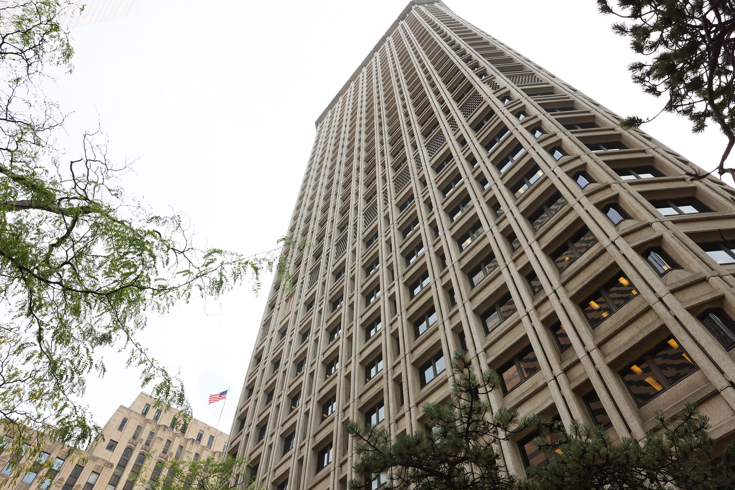 A guide to navigating the immigration court system in WA state ...