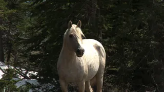 Cloud Update: 2012 | Cascade PBS