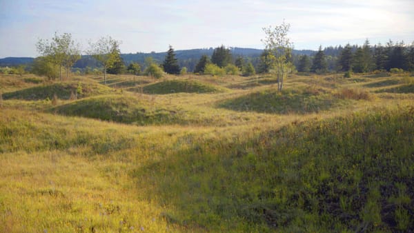 Mossback’s Northwest: The mystery of Washington's Mima Mounds | Cascade PBS